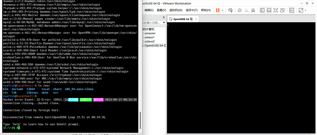 Leap 15.5 Black Screen after auto-suspend in VMWare Workstation 17.02 - Install/Boot/Login ...