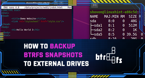 Backing up laptop with btrfs, what is OK and are there any simple steps? - Applications ...