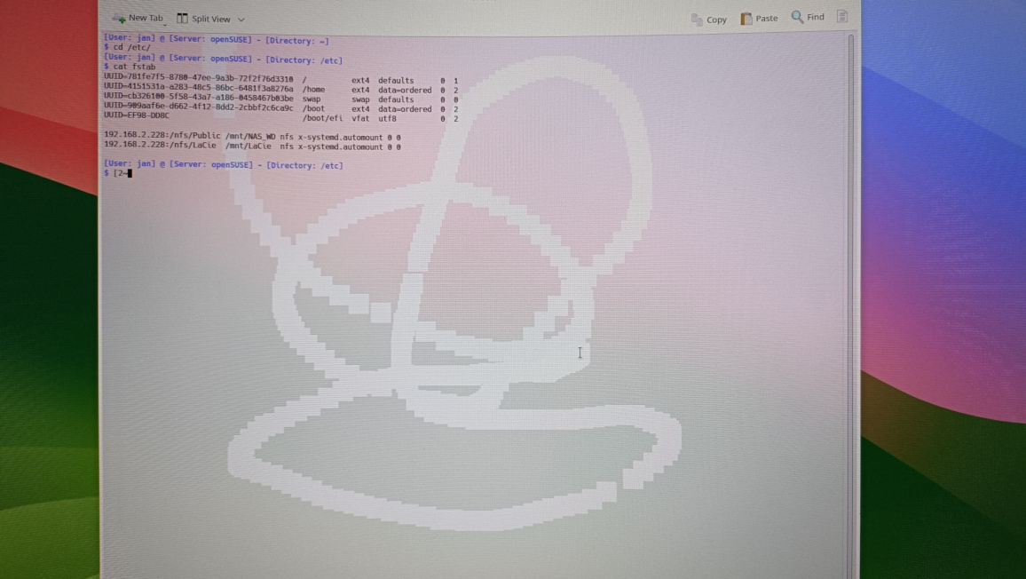 Strange behavior in terminal and other light colored applications in Tumbleweed KDE ...