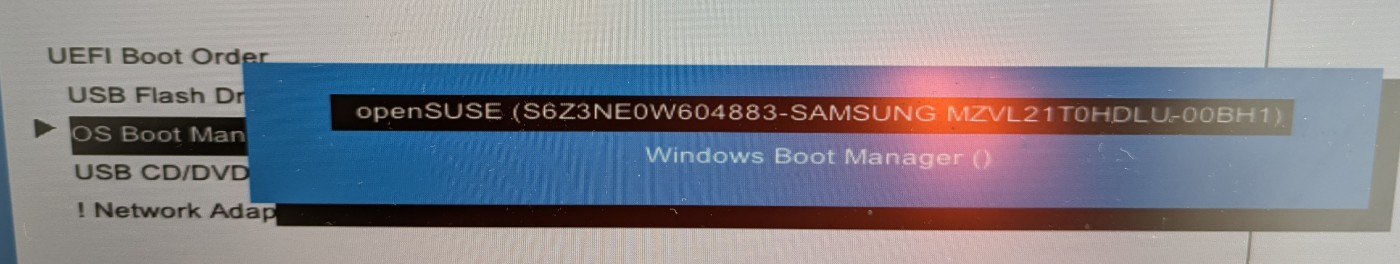 Grub is installed but does not show up, even though opensuse is set first in BIOS - Install/Boot ...